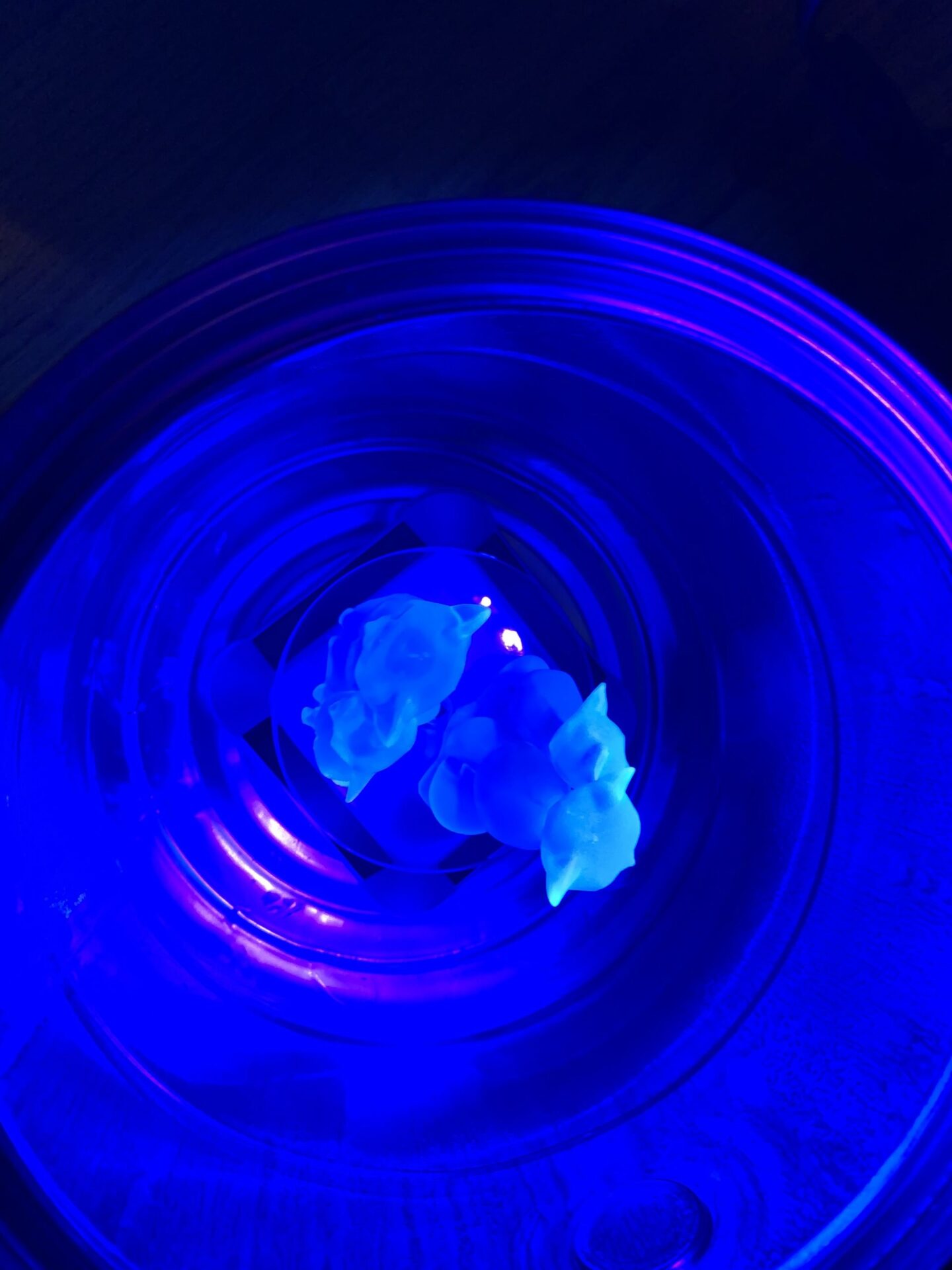 Creality LD002R vs. Anycubic Photon – Lunar Den Lights (Archive)